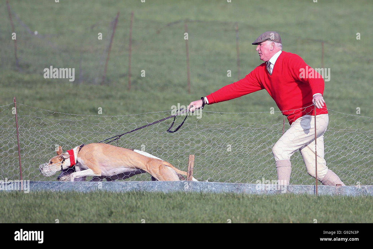 Coursing race course hi-res stock photography and images - Alamy