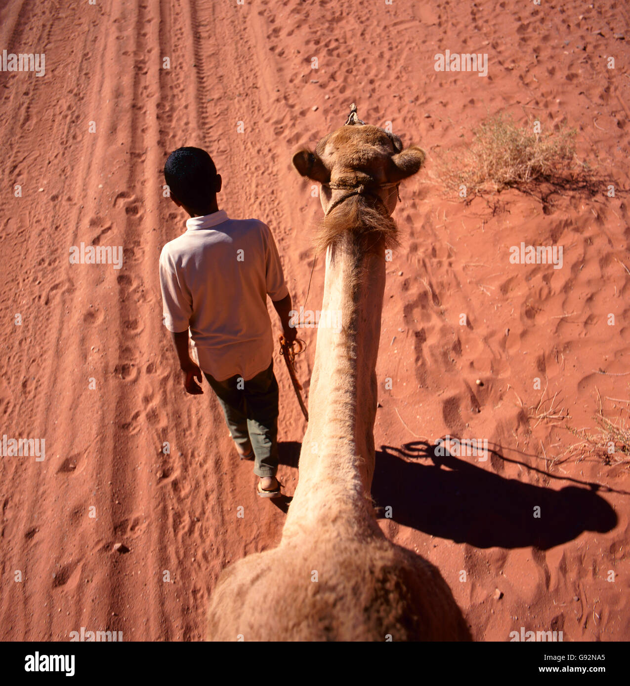 A camel trip through Wadi Rum desert, Jordan Stock Photo - Alamy
