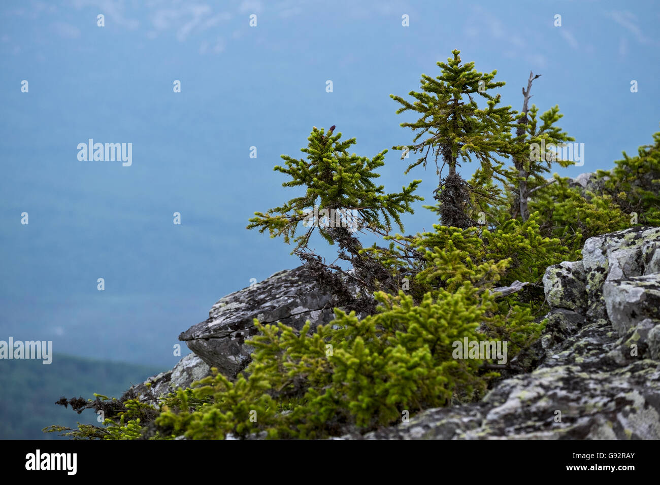 Slope of mountain hi-res stock photography and images - Alamy