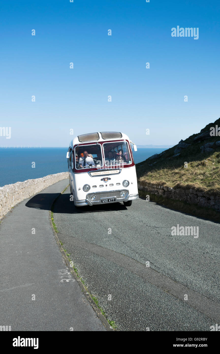 Leyland Tiger cub 1958 Duple-bodied vintage coach on Marine drive near ...