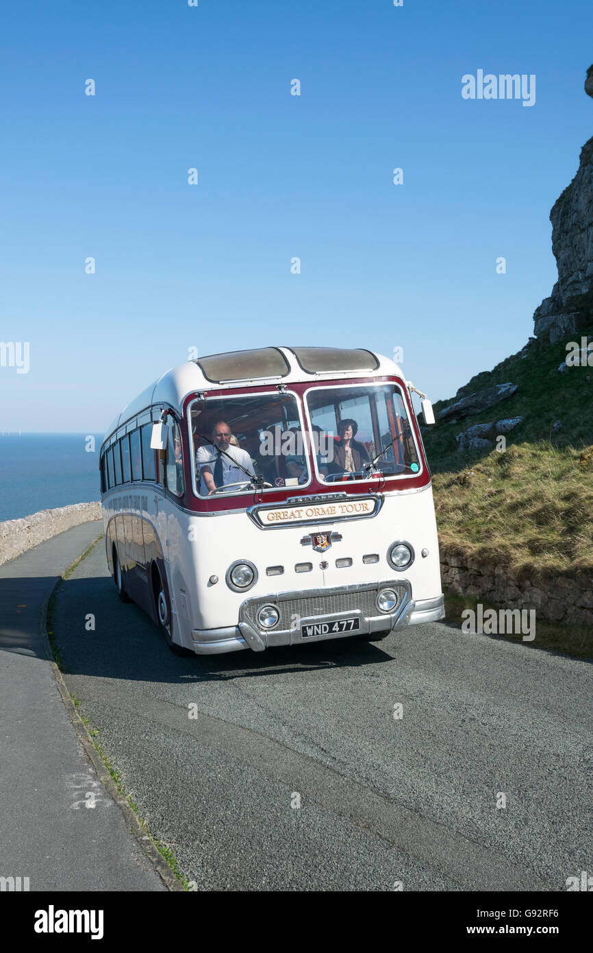Leyland Tiger cub 1958 Duple-bodied vintage coach on Marine drive near ...