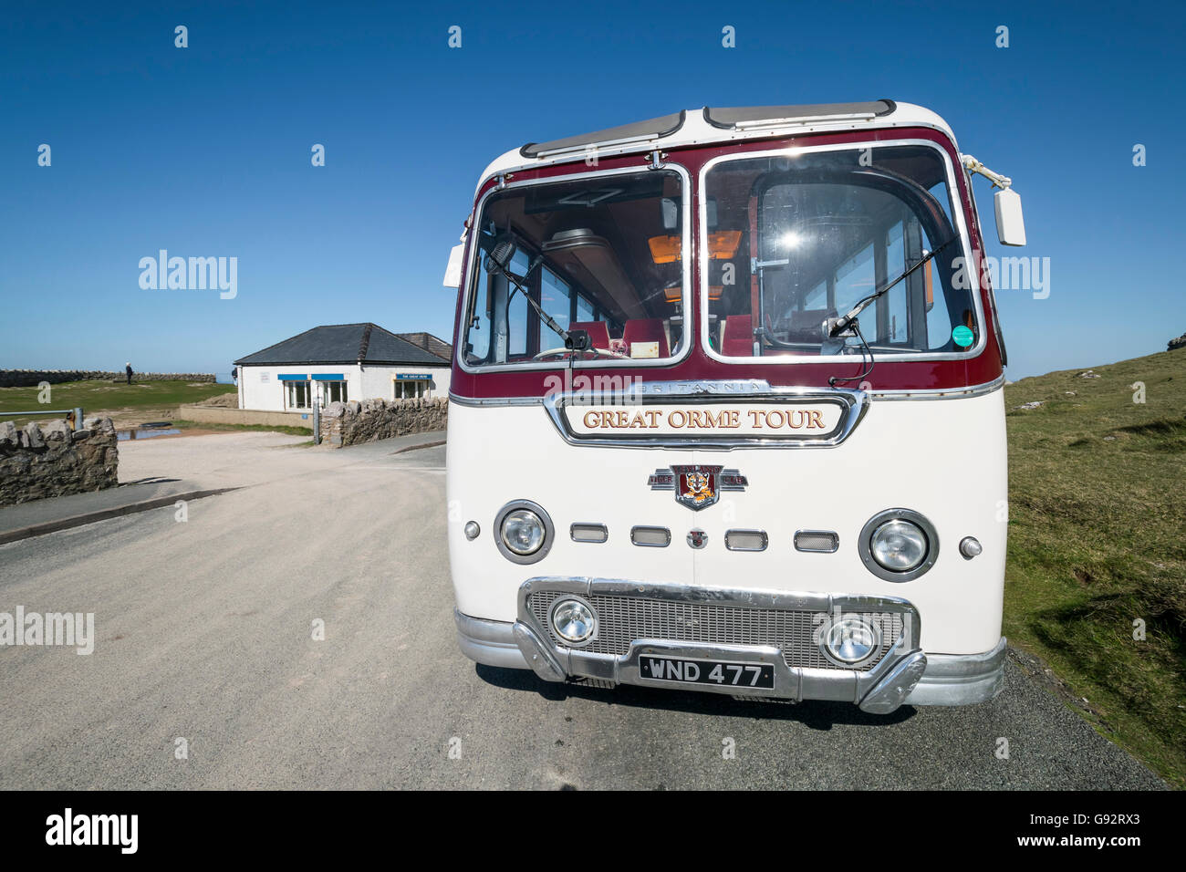 Leyland Tiger cub 1958 Duple-bodied vintage coach on Marine drive near ...