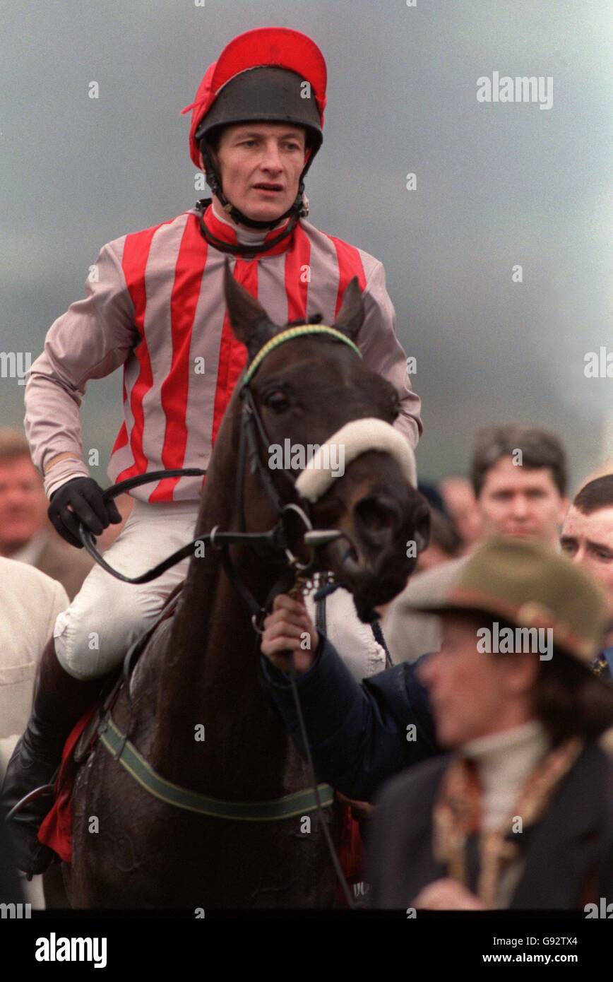 Horseracing - Cheltenham Festival Stock Photo - Alamy