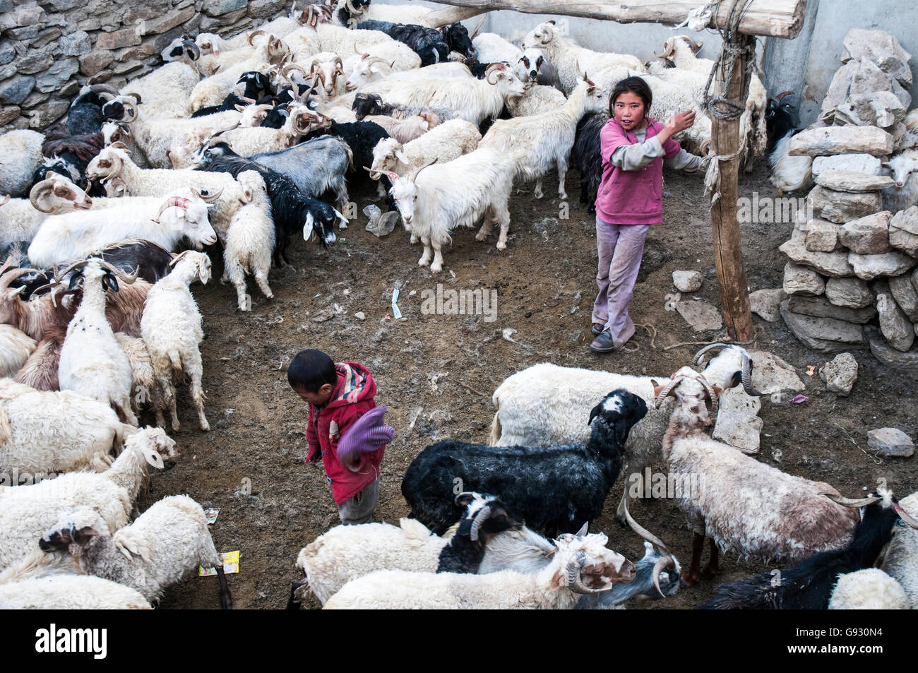 Ladakh village hi-res stock photography and images - Alamy