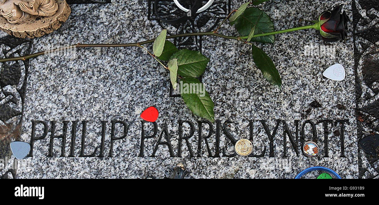 A rose lays on top of Phil Lynott's grave in St Fintan's cemetery in ...