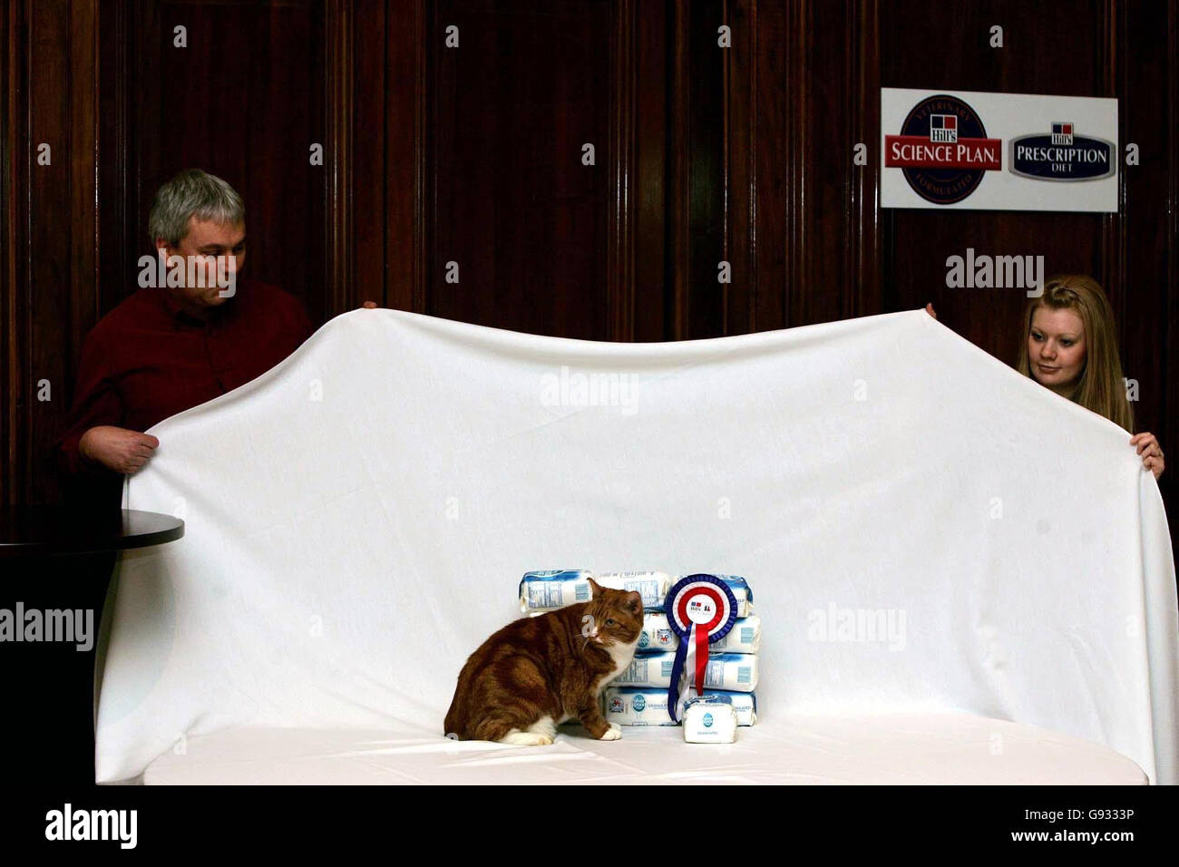 Cat judges hi-res stock photography and images - Alamy
