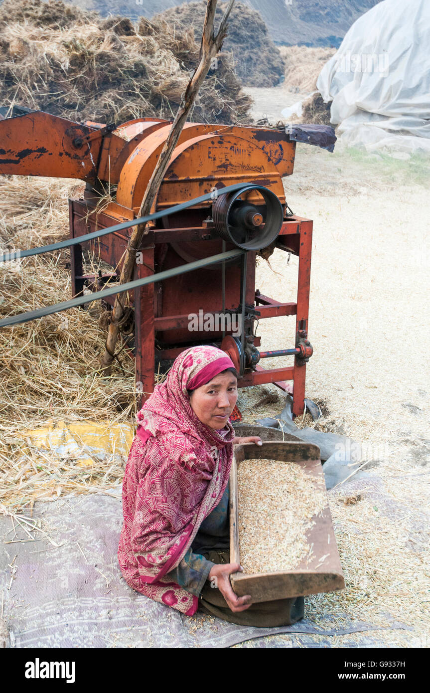 Woman Winnowing Wheat High Resolution Stock Photography and Images - Alamy