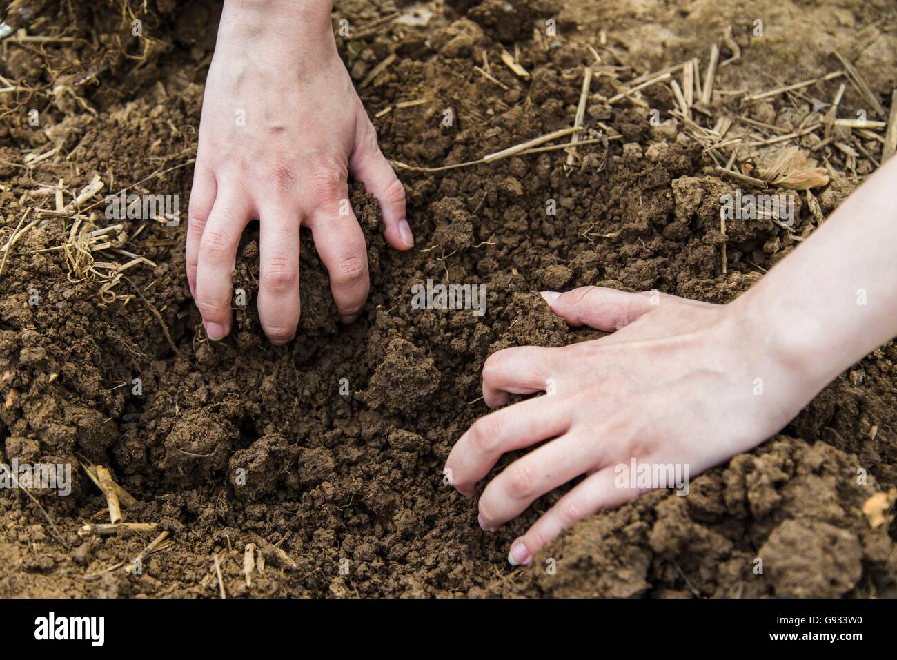 Woman hands digging ground Stock Photo - Alamy