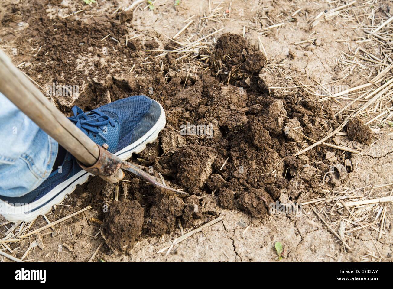 Forks in the ground Stock Photo - Alamy