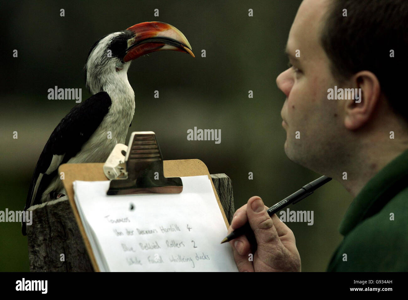 Simplest animal hi-res stock photography and images - Alamy