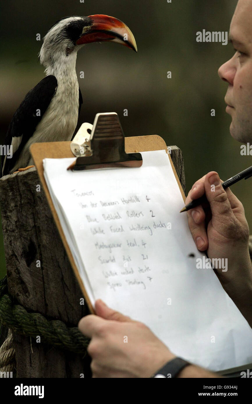 Simplest animal hi-res stock photography and images - Alamy