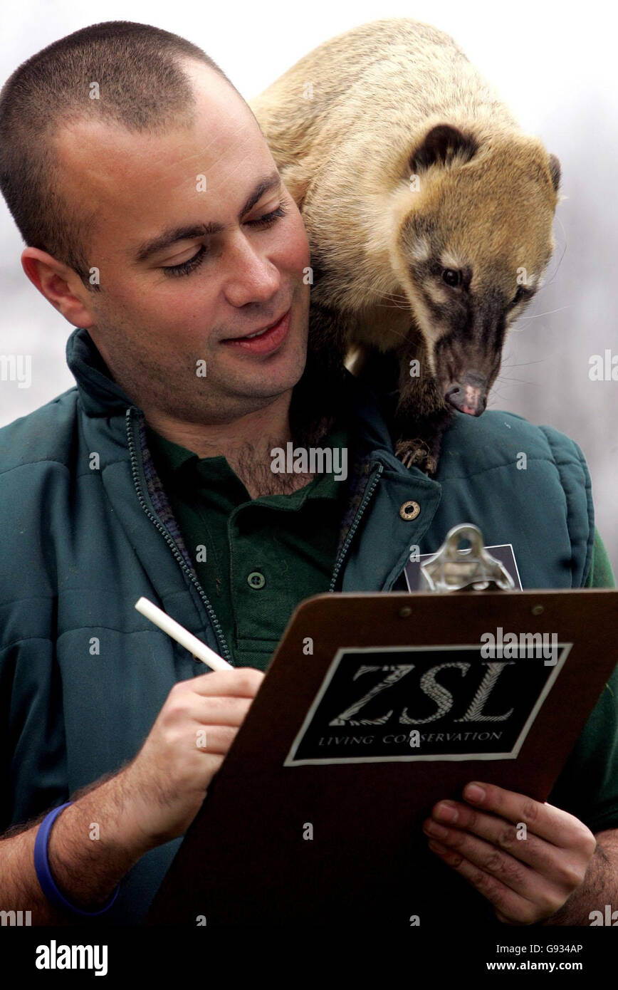 Highly Social Species High Resolution Stock Photography and Images - Alamy