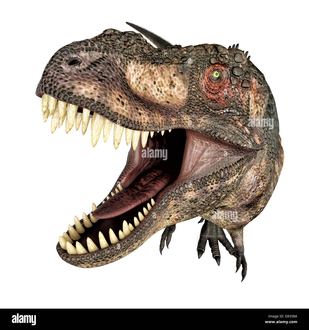 Dinosaur Age Stock Photos & Dinosaur Age Stock Images - Alamy