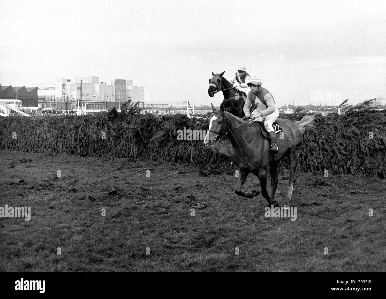 Norman scott horse hi-res stock photography and images - Alamy