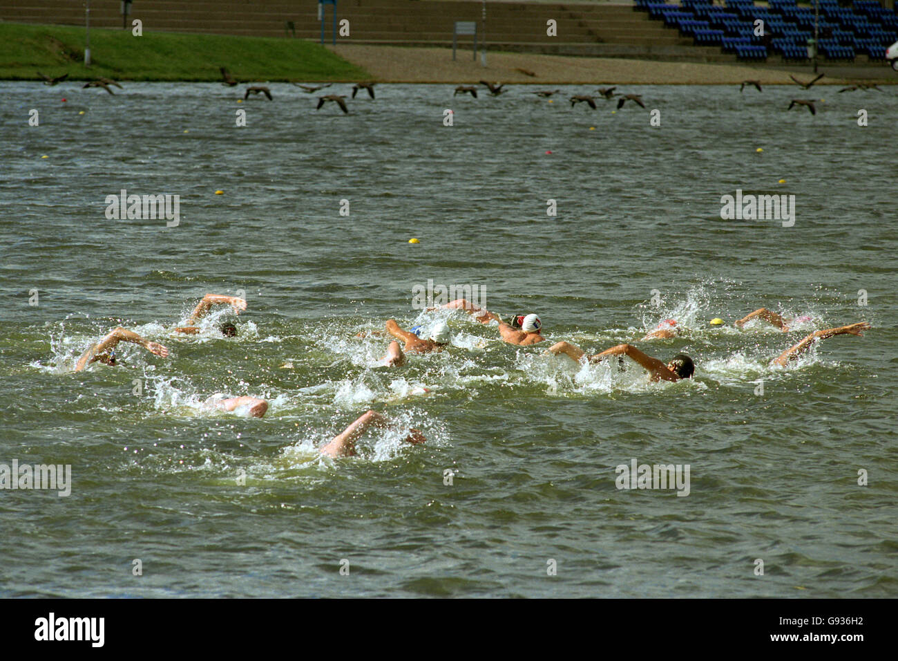 Long distance swimming hi-res stock photography and images - Alamy