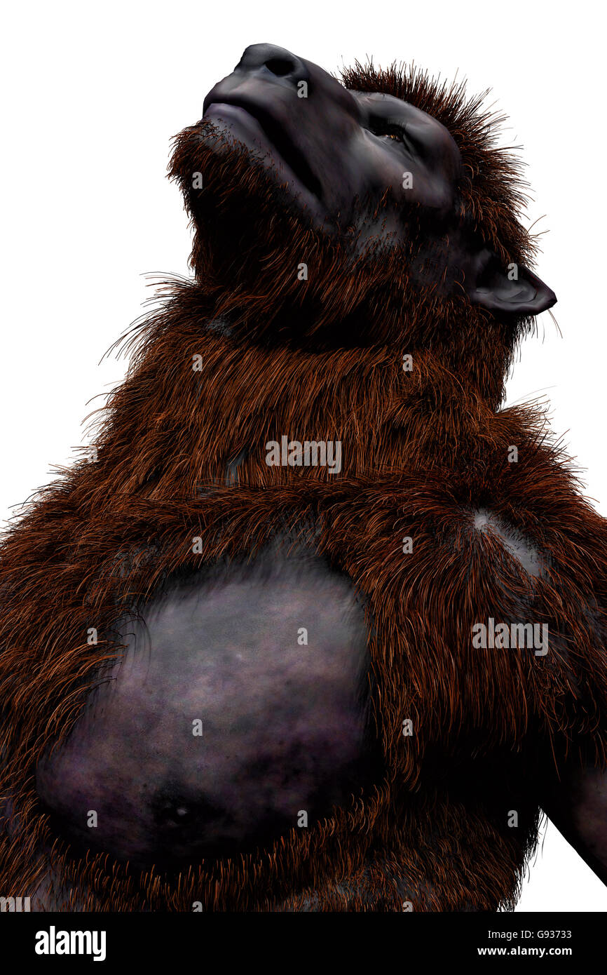 Lycan hi-res stock photography and images - Alamy