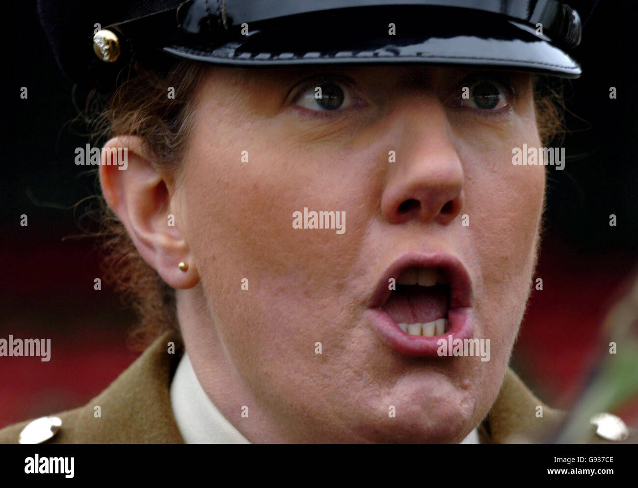 Burdus hi-res stock photography and images - Alamy