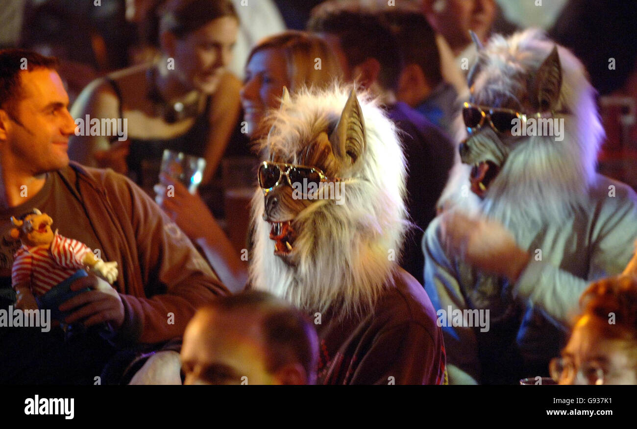 Fans wearing wolf masks support England's 'Wolfie' Martin Adams during ...