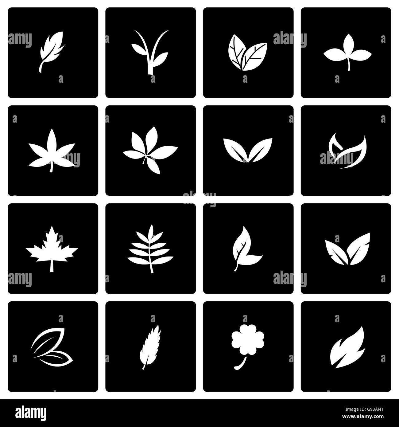 Vector black leaf icon set Stock Vector Image & Art - Alamy