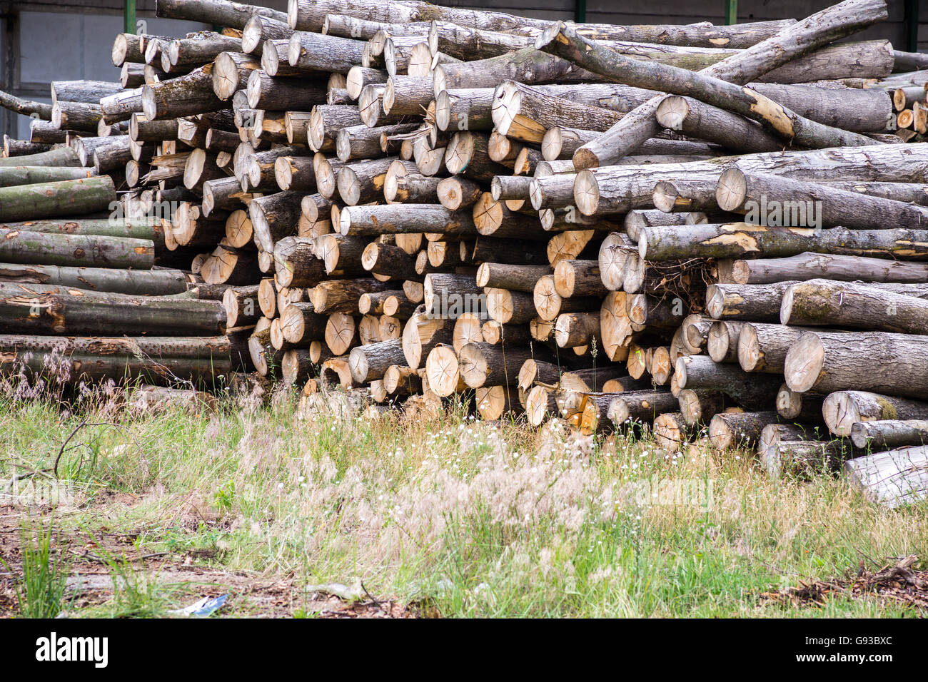 wood sawmill log crane timber Stock Photo - Alamy