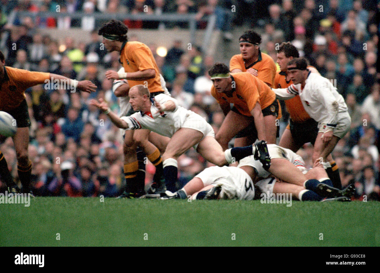 Richard hill england feeds backs hi-res stock photography and images ...