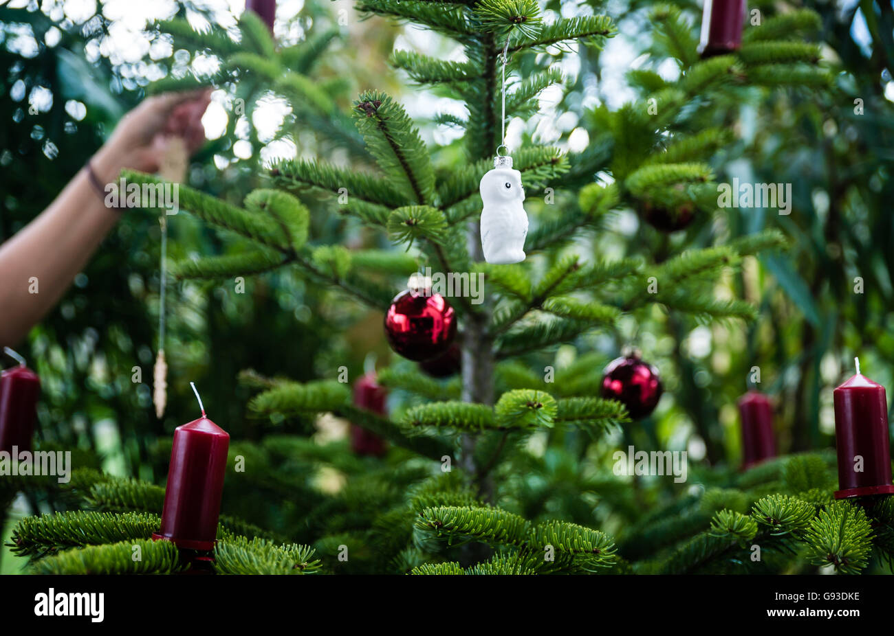 Hand decorating tree hi-res stock photography and images - Alamy