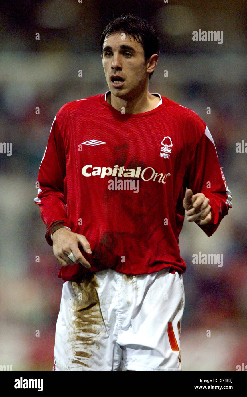 Football soccer forest hi-res stock photography and images - Alamy