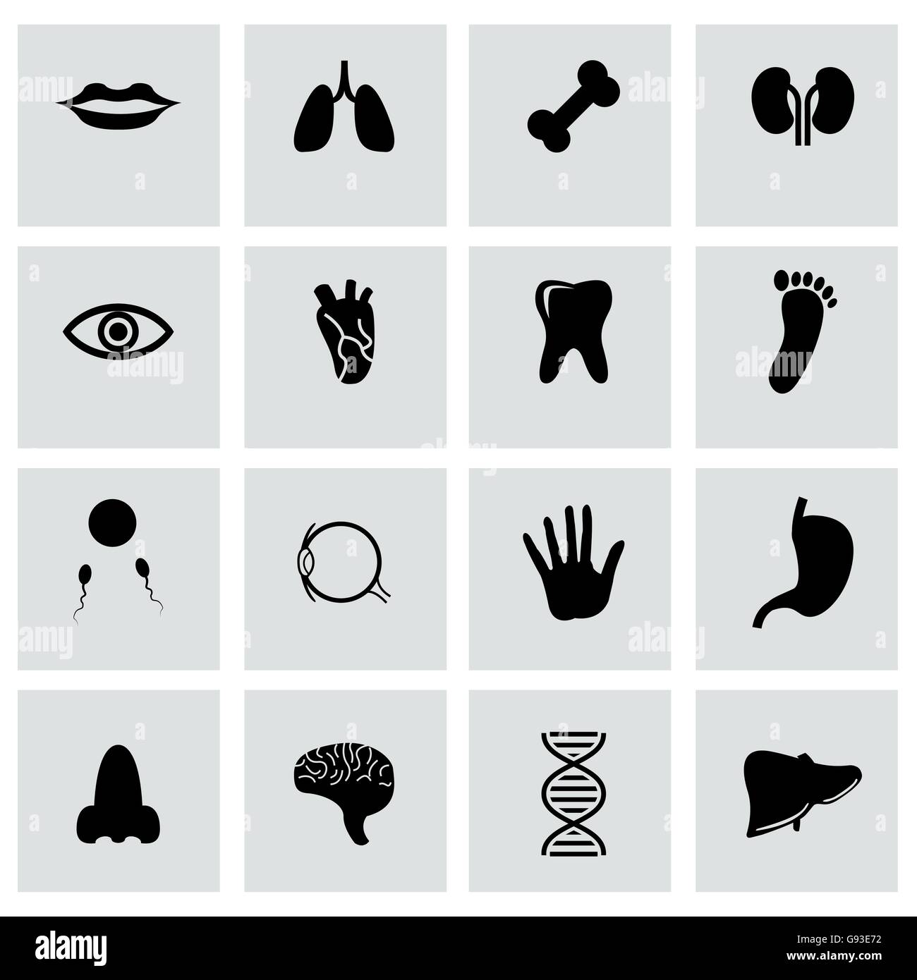 Medicine anatomy surgery first Stock Vector Images - Alamy