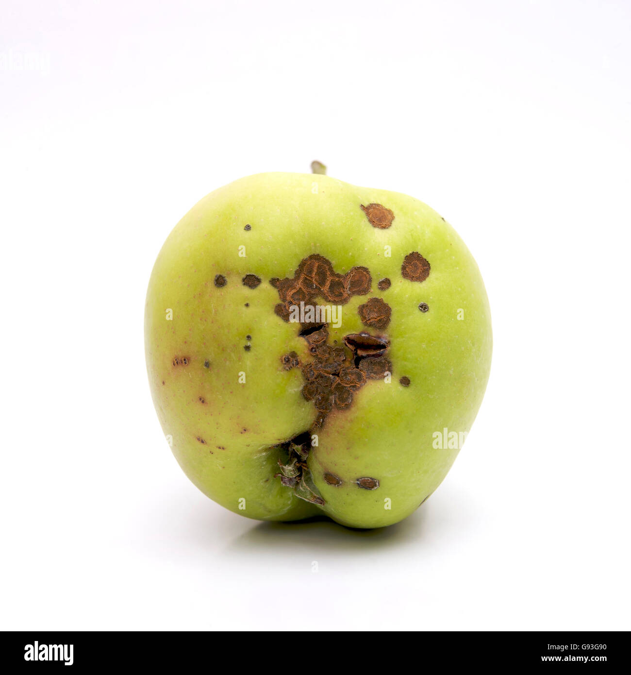 Apple with damaged skin Stock Photo - Alamy