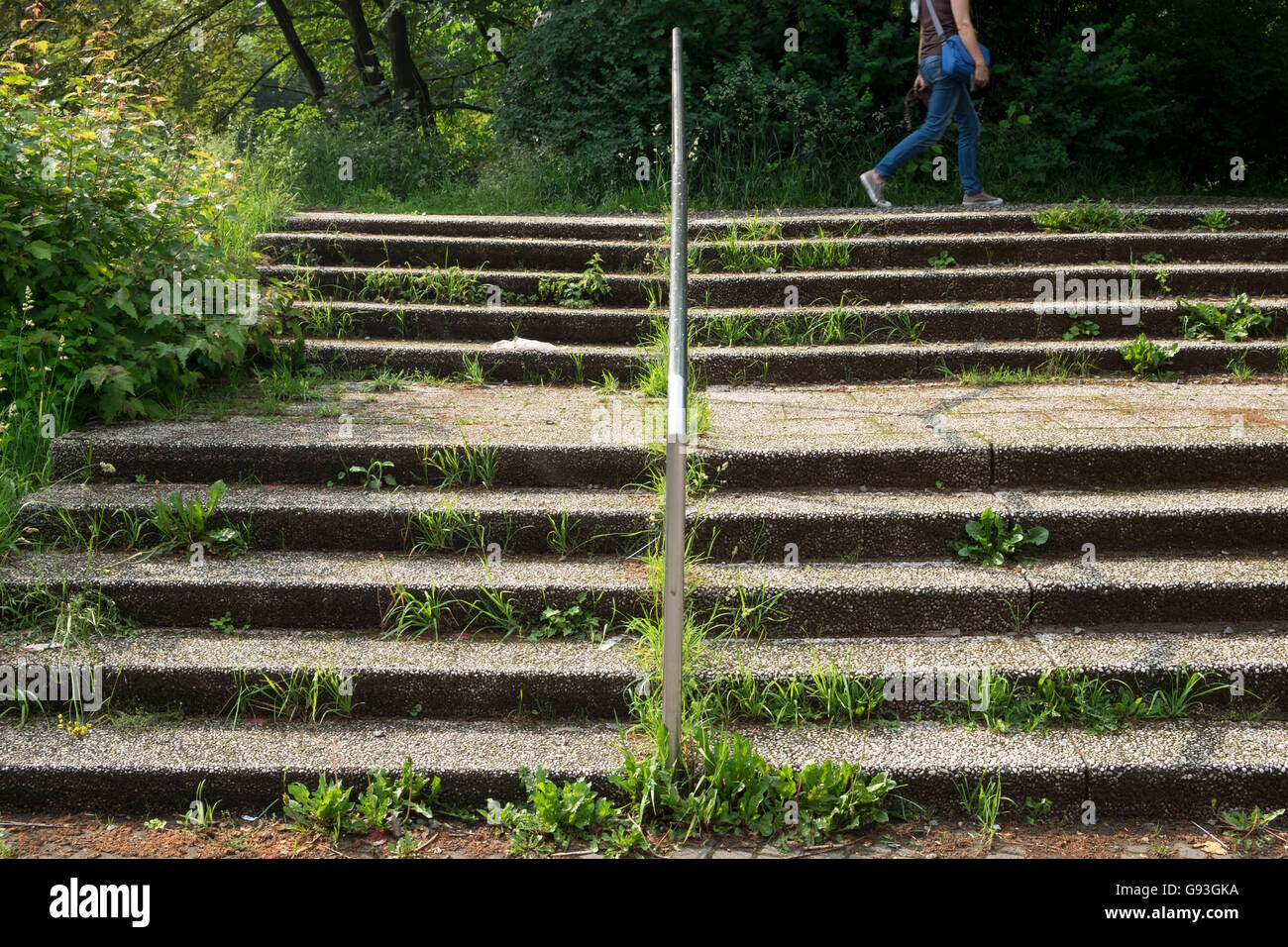 Overgrown concrete steps hi-res stock photography and images - Alamy
