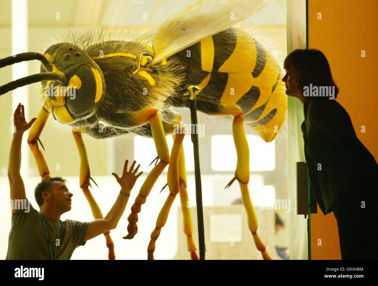 Giant wasp model hi-res stock photography and images - Alamy