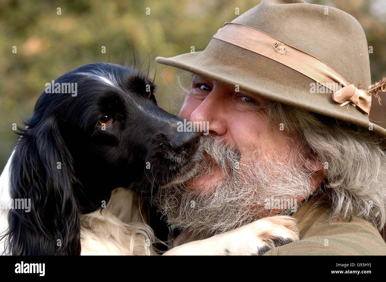 English springer spaniel spaniel hi-res stock photography and images ...