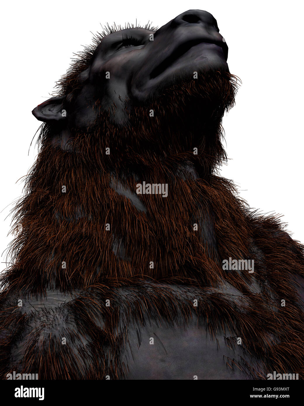 Lycan High Resolution Stock Photography and Images - Alamy