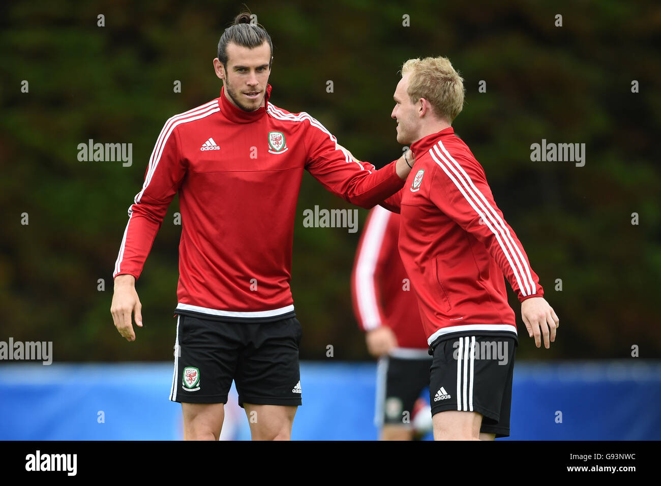 Wales' Gareth Bale (left) and Jonathan Williams (right) during a ...