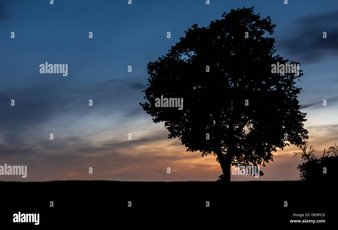 Loneliness is beauty Stock Photo - Alamy