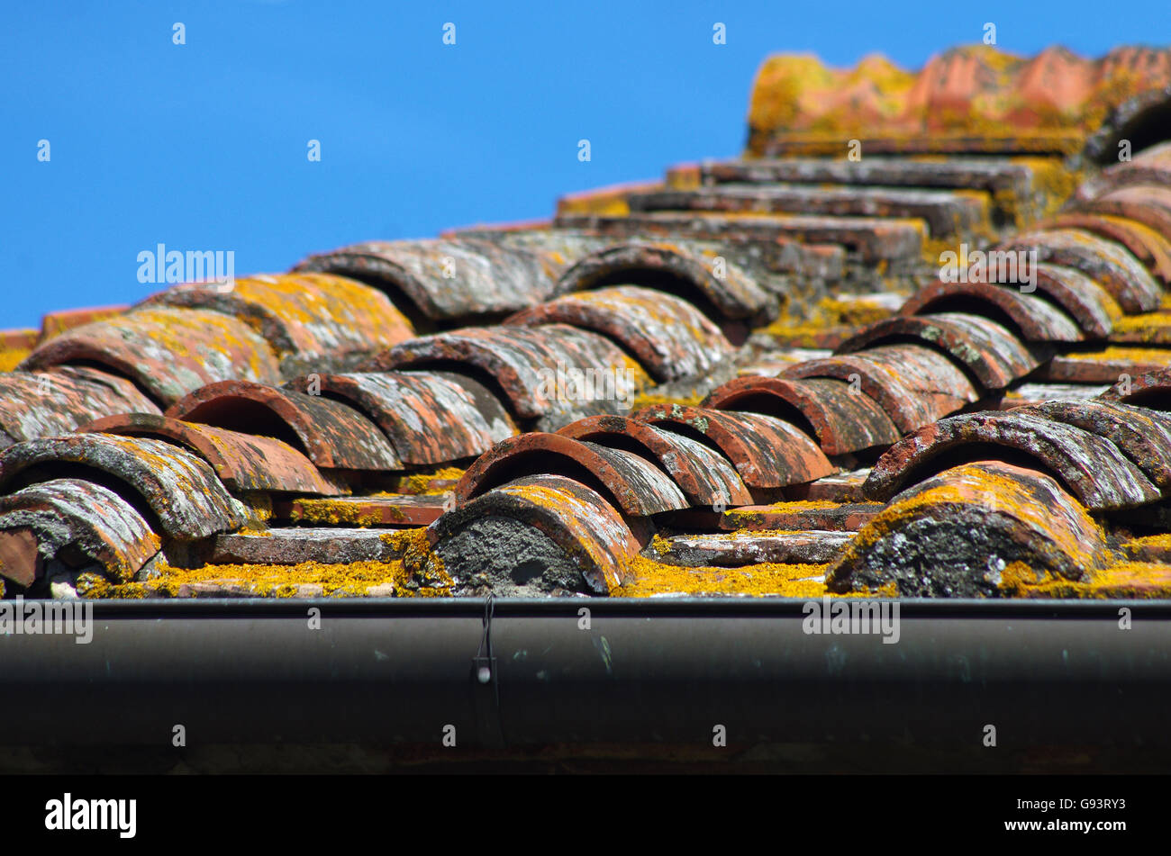traditional roof tile with tiles and cement and plaster of historic ...