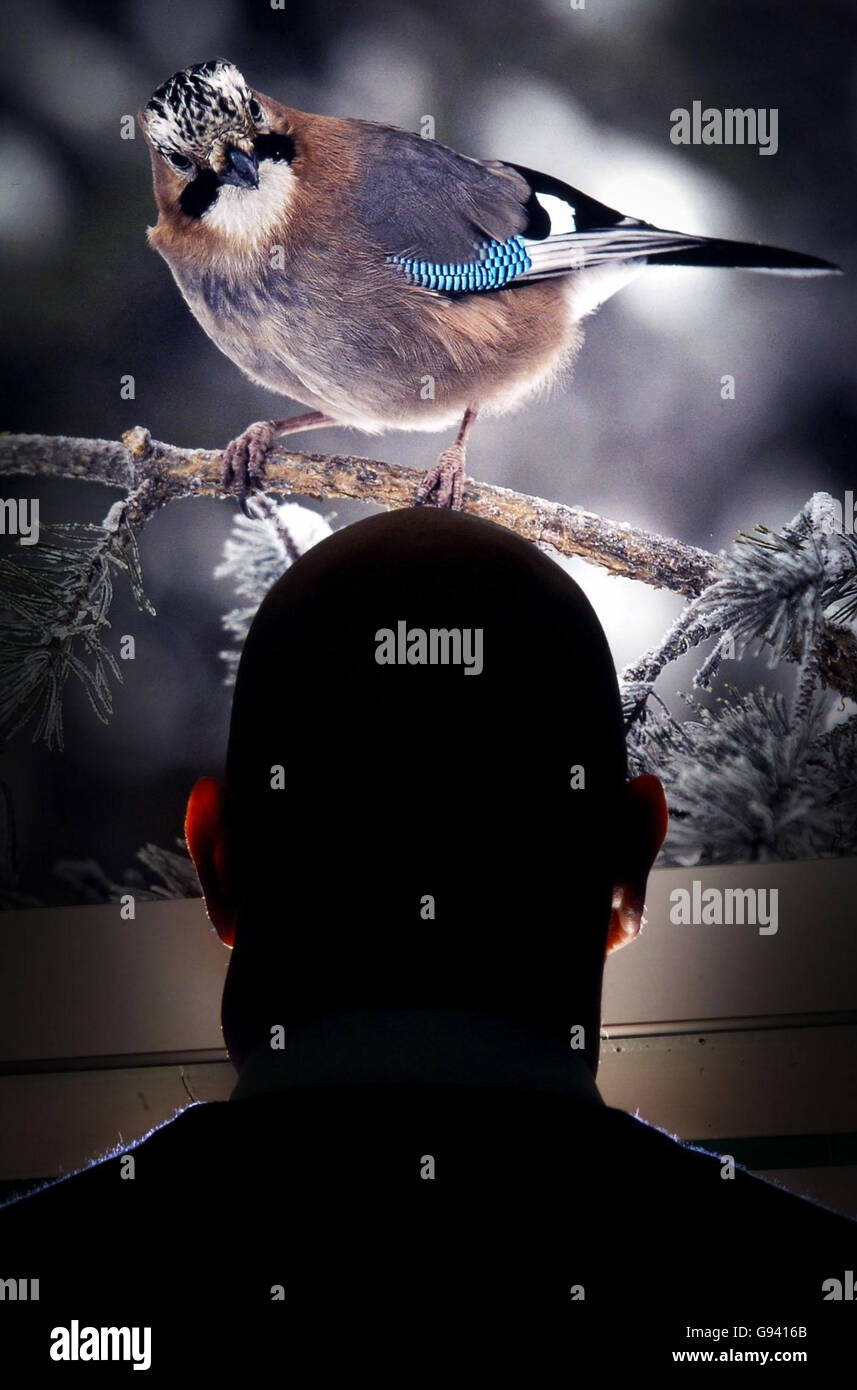 Visitors Assistant Eric Dobson is seen with photograph Inquisitive Jay ...