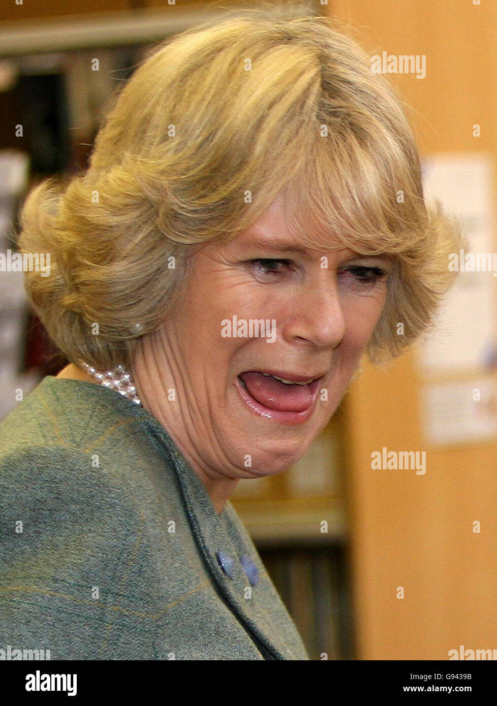 Shaneka Goode's Instagram, Twitter & Facebook on IDCrawl