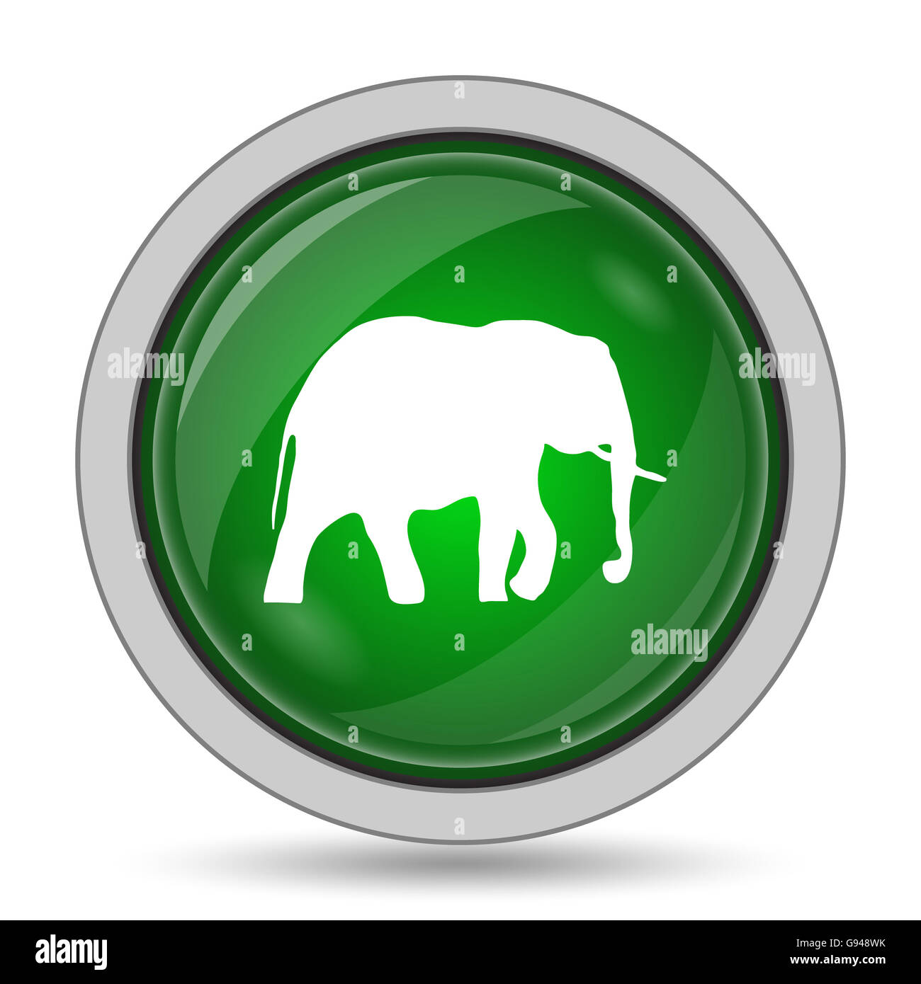 Elephant icon. Internet button on white background Stock Photo - Alamy