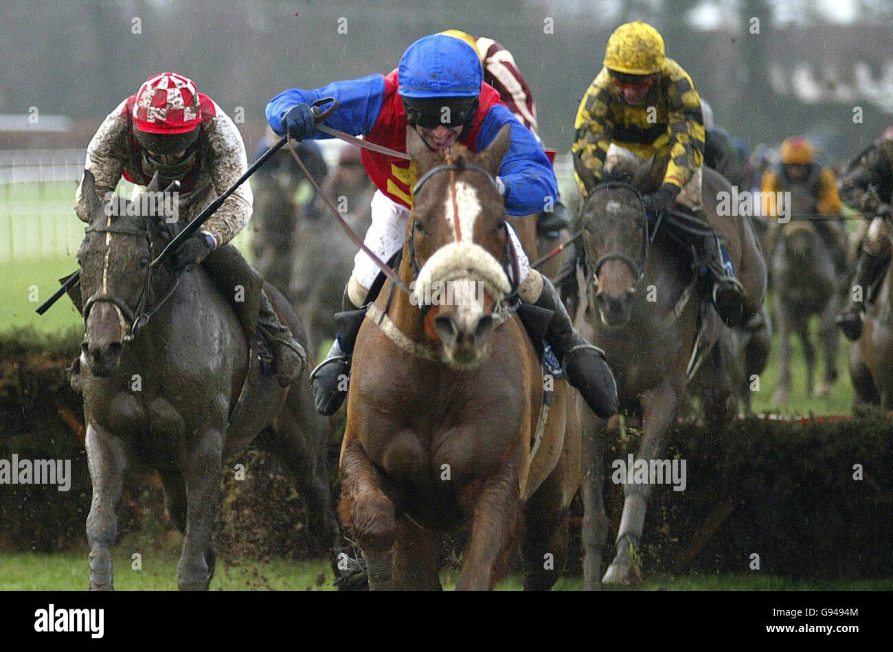 Studmaster hi-res stock photography and images - Alamy