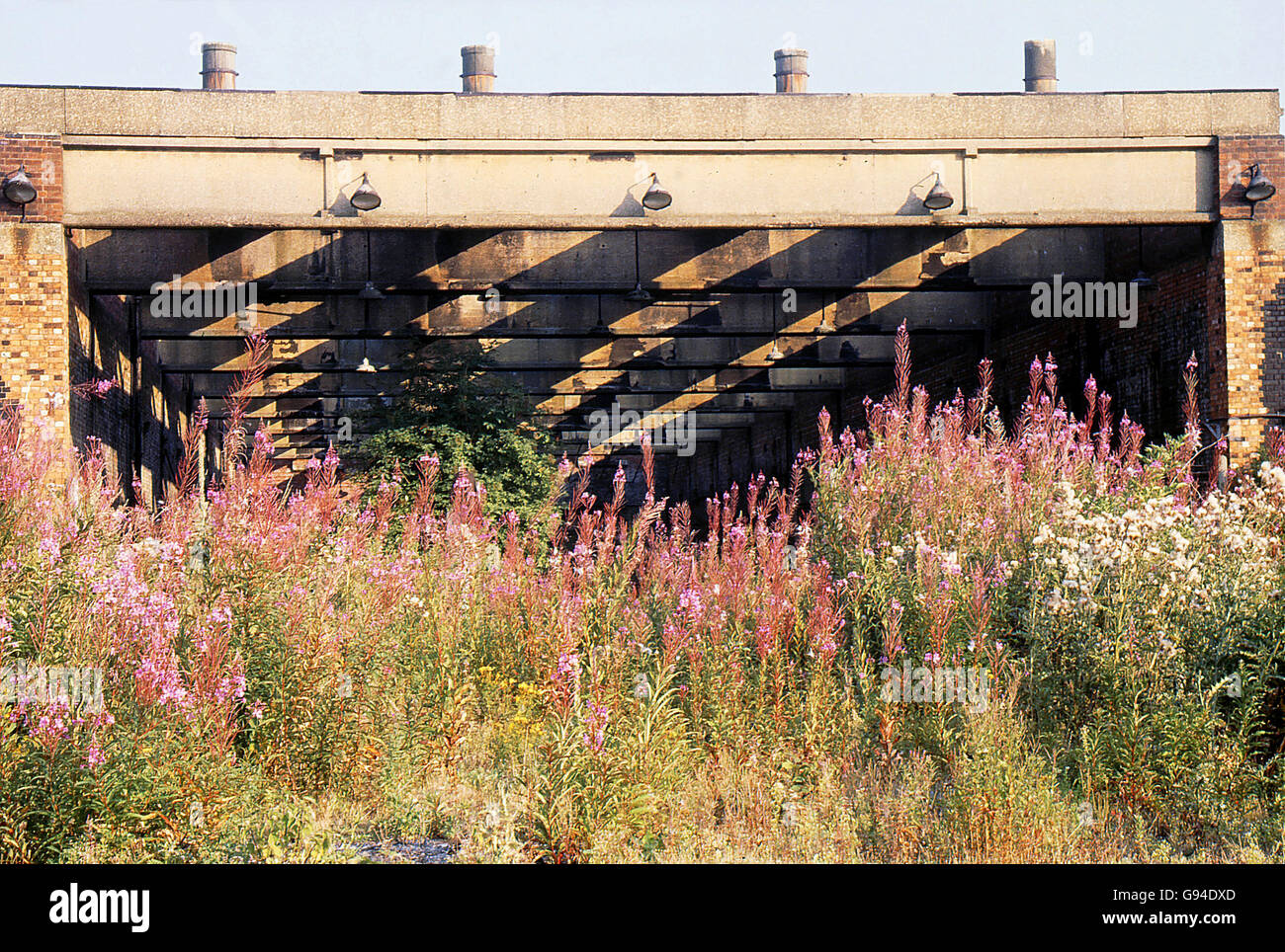 Bedford Motive Power Depot Stock Photo - Alamy