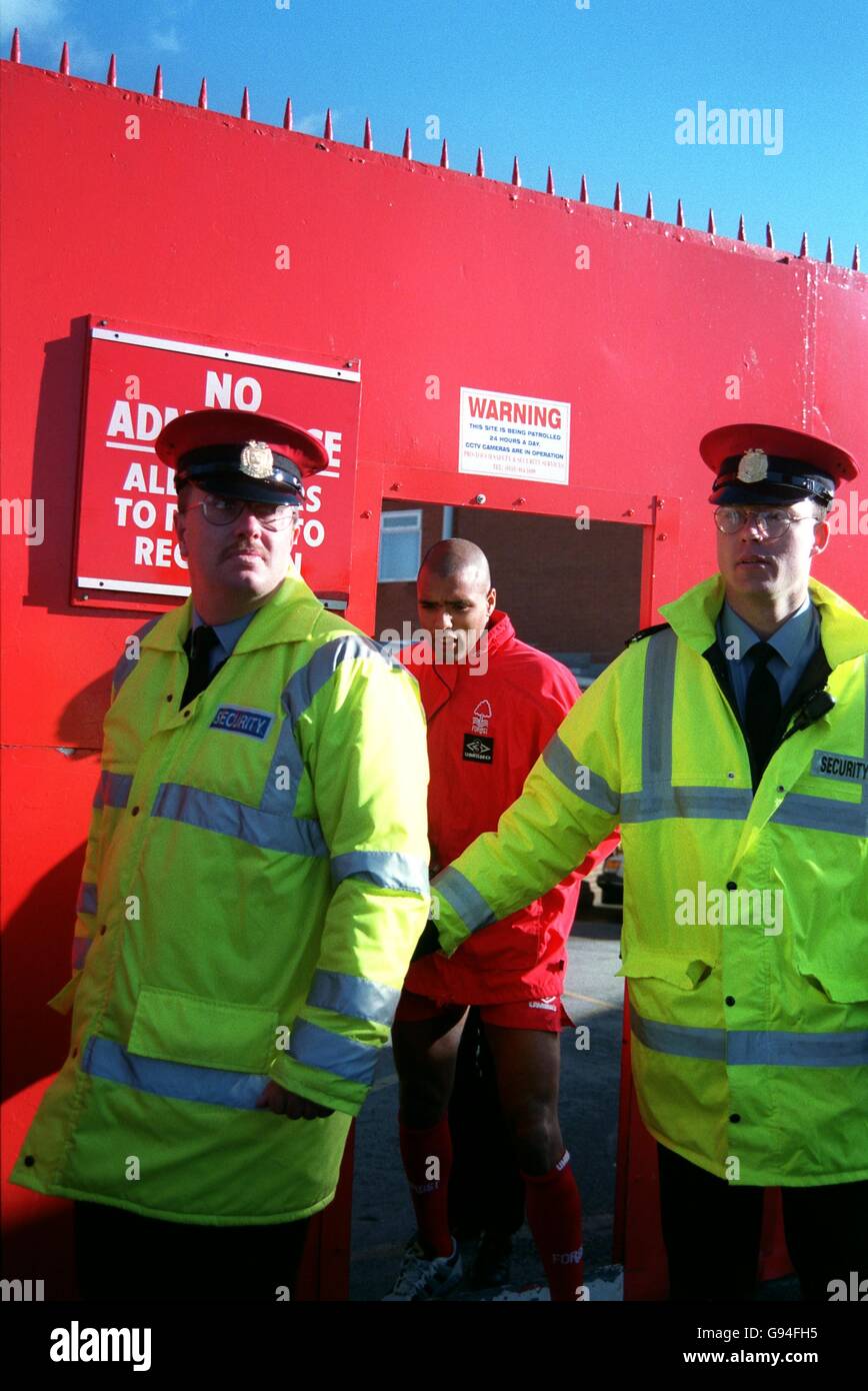 Van hooijdonk forest hi-res stock photography and images - Alamy