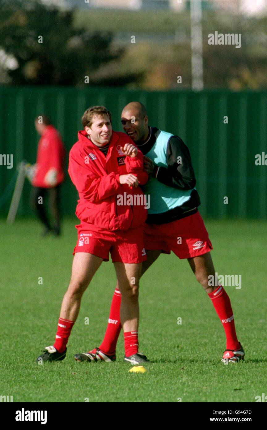 Pierre van hooijdonk forest hi-res stock photography and images - Alamy