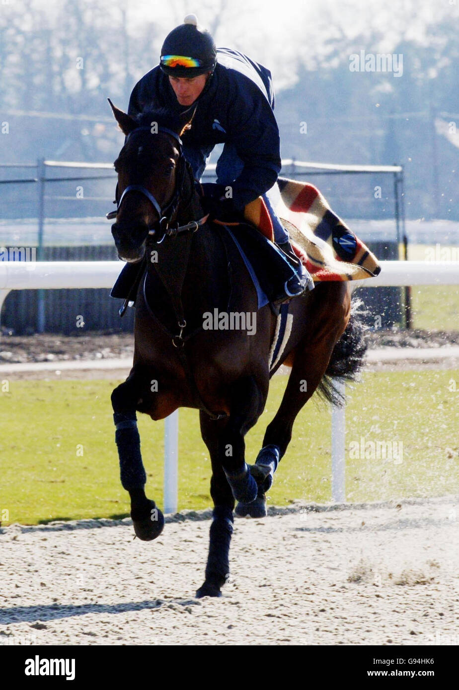Jockey jason tate hi-res stock photography and images - Alamy