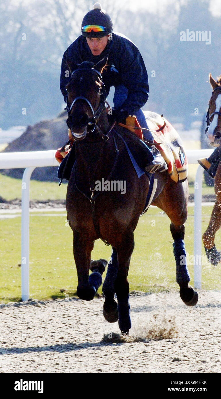 Ouija Board and jockey Jason Tate running on the all weather track at ...