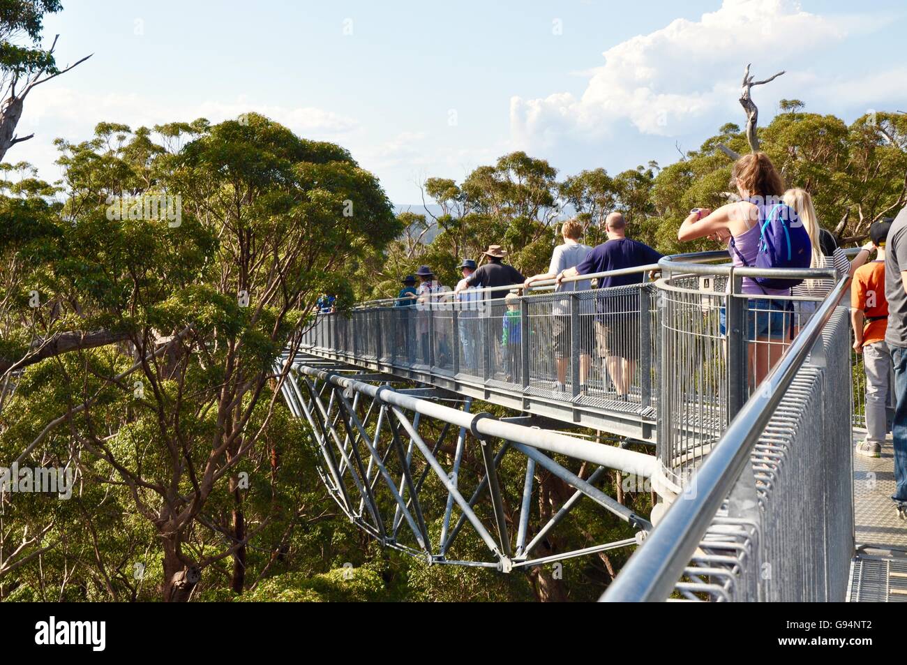 Tree top walk elevated walkway hi-res stock photography and images - Alamy