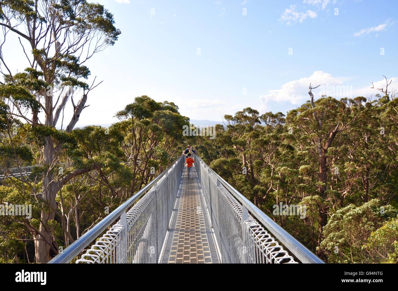 Tree top walk elevated walkway hi-res stock photography and images - Alamy