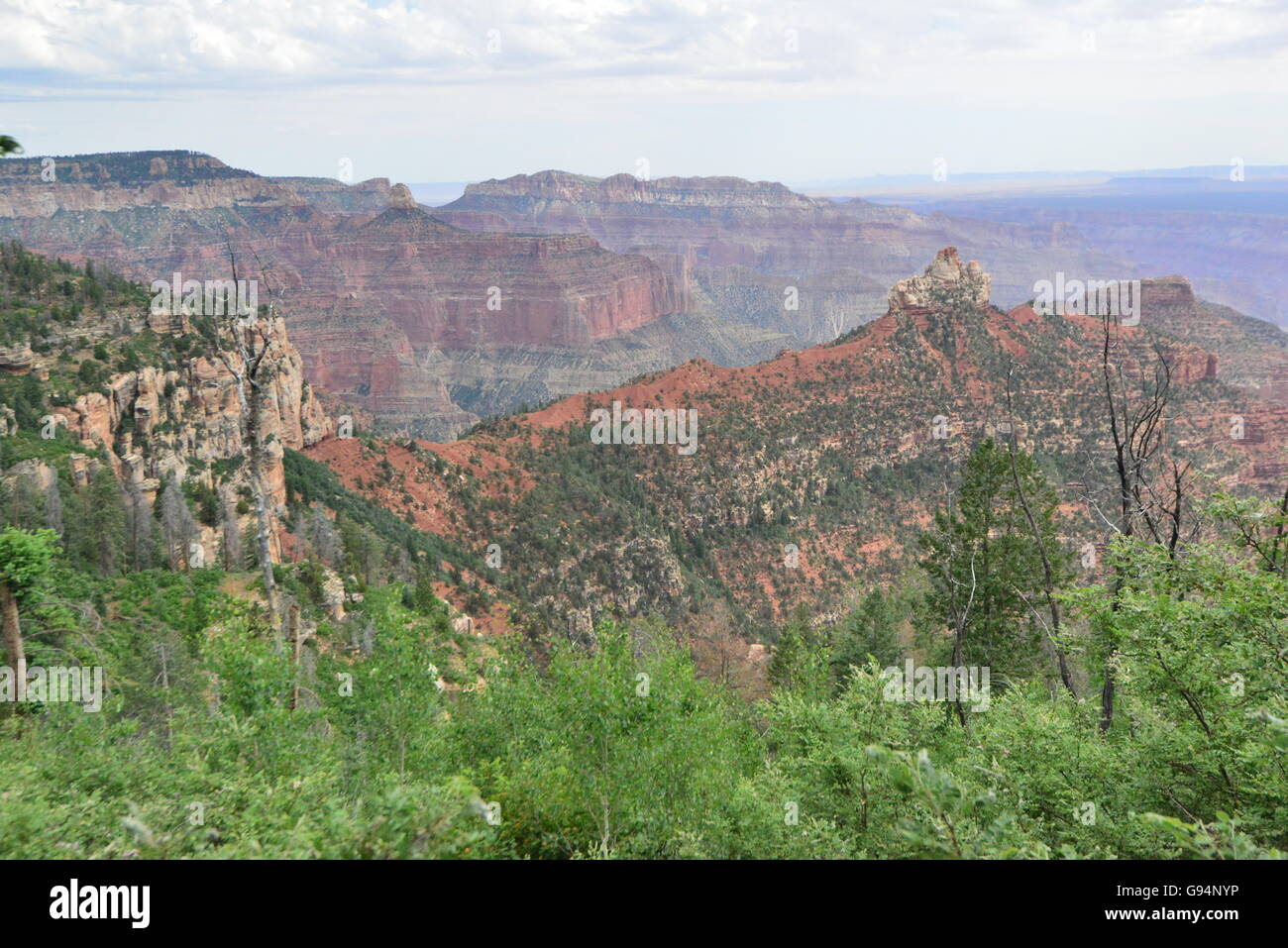 The North of the Grand Canyon in Arizona, America Stock Photo - Alamy