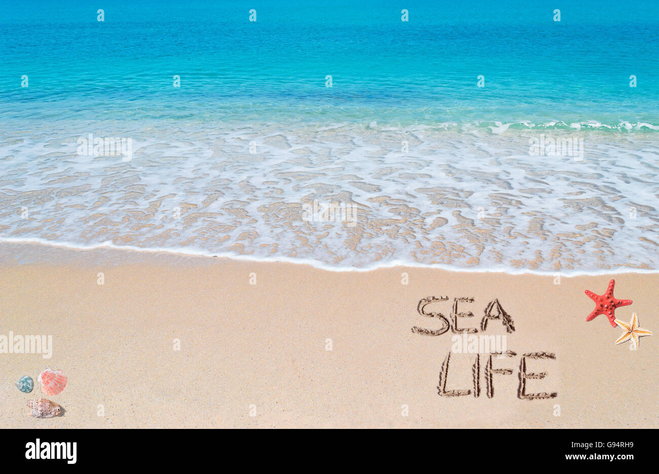 "sea life" written on a tropical beach Stock Photo - Alamy