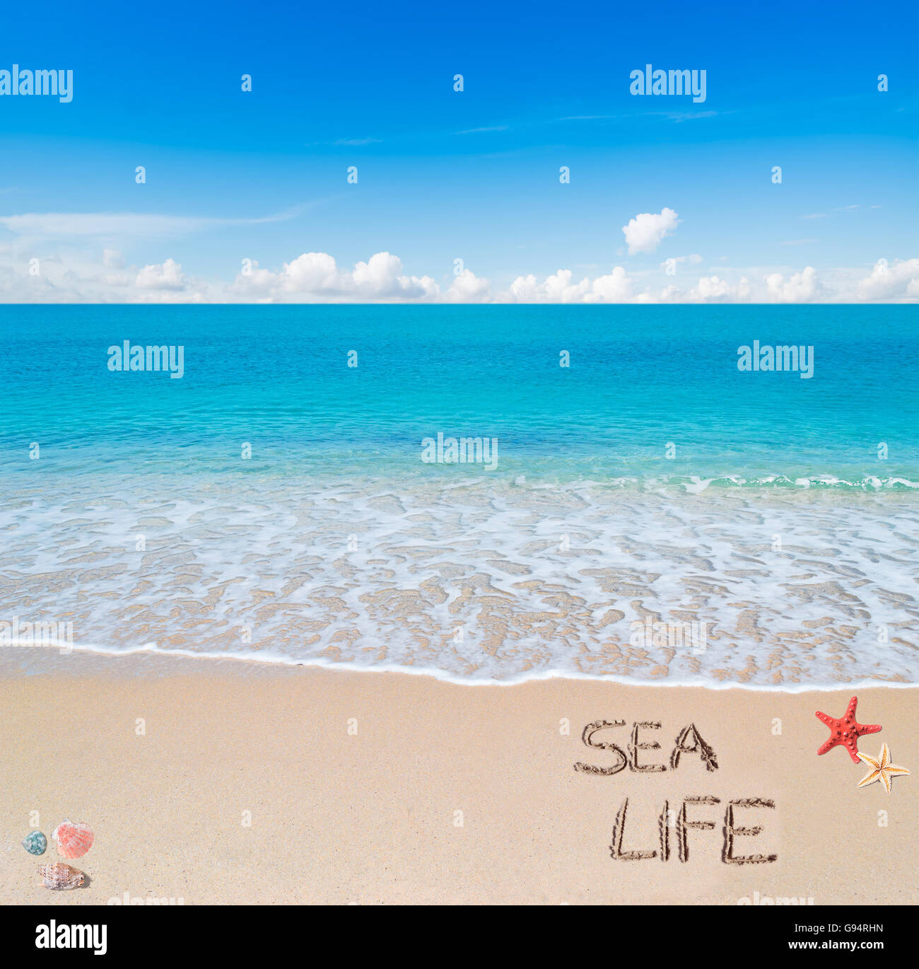 "sea life" written on a tropical beach Stock Photo - Alamy